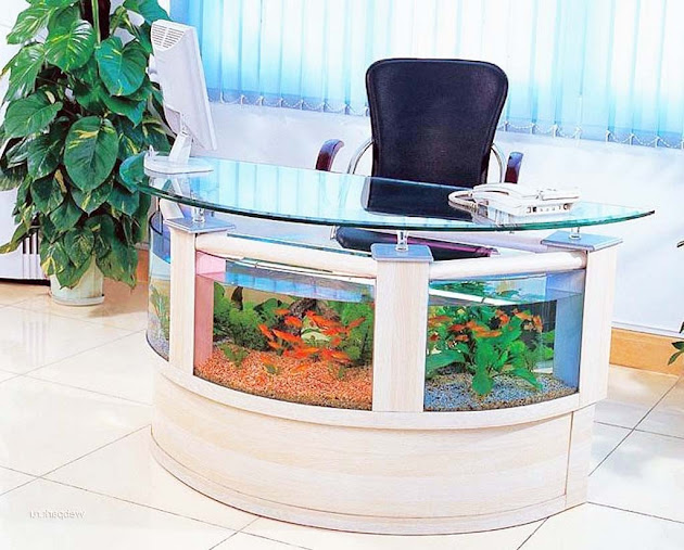 60 Model Akuarium Kecil Cocok Untuk Hiasan Kamar Tidur Anda 2021