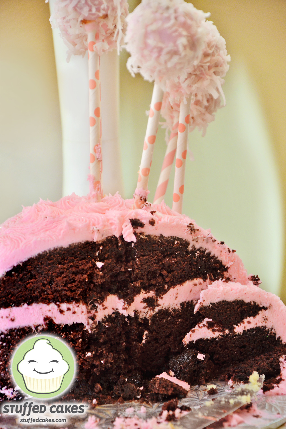 Stuffed Cakes: Make A Wish! 1st Birthday Cakes