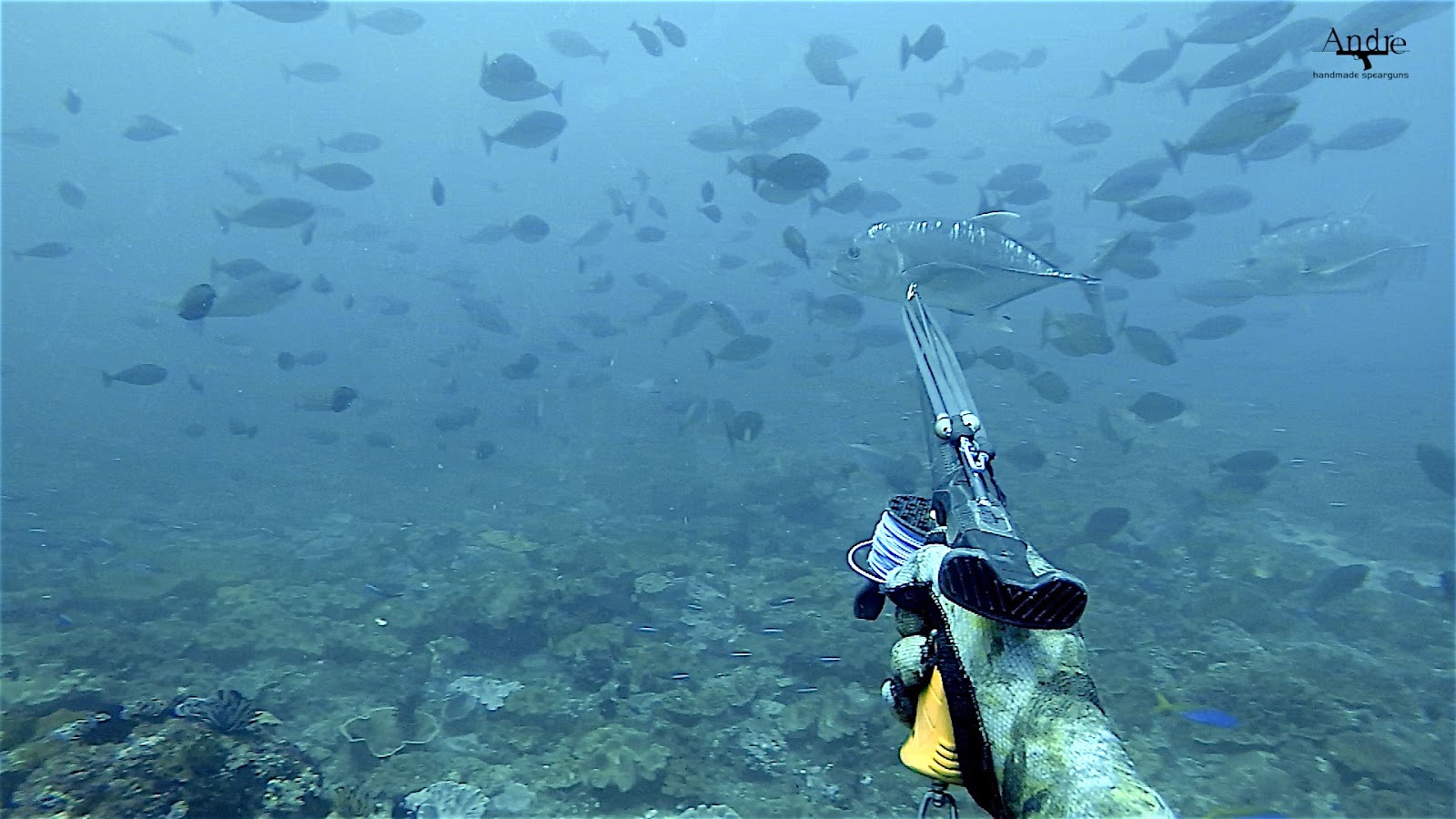 INDONESIA SPEARFISHING ADVENTURE
