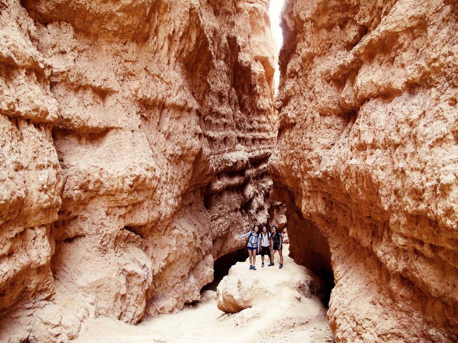 Une-deux senses: Zion, Springdale, Utah