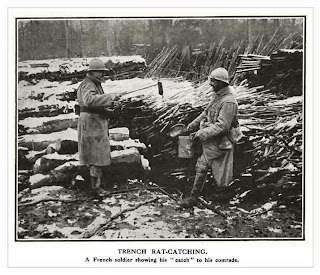 Military History Of the 20th Century: Trench Rats Of World War 1photo 6