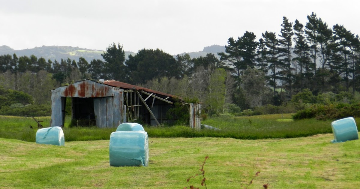 The Paddock: Half round barns