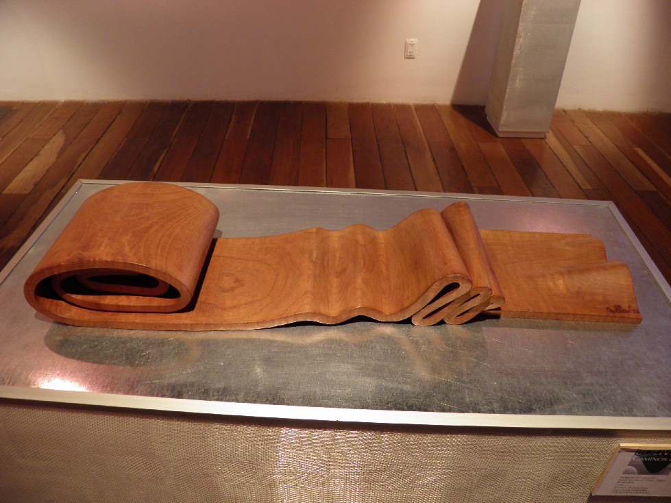 DICCIONARIO CULTURAL BOLIVIANO: MARCELO CALLAU