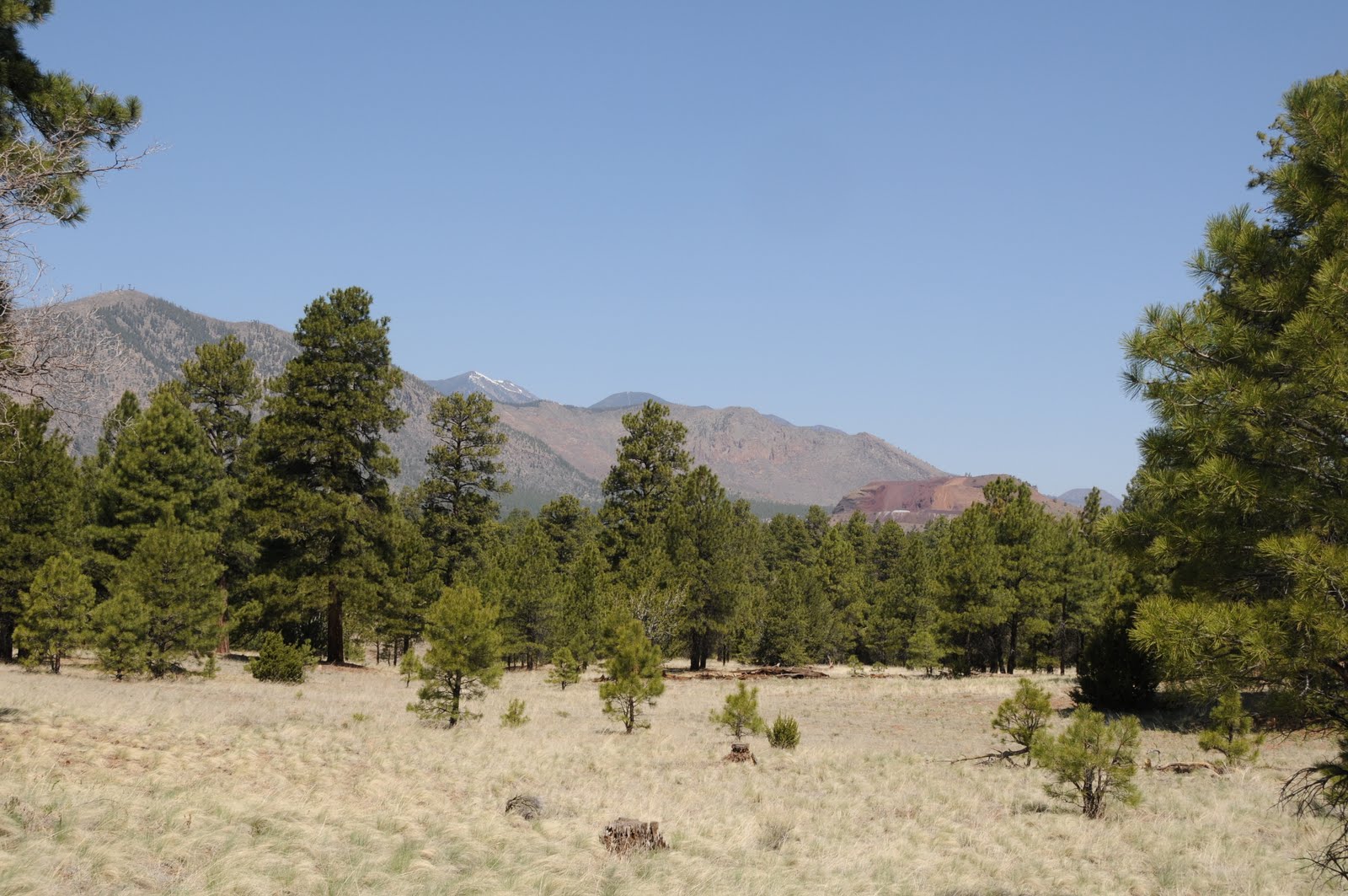 Arizona Hiking: CAMPBELL MESA TRAILS