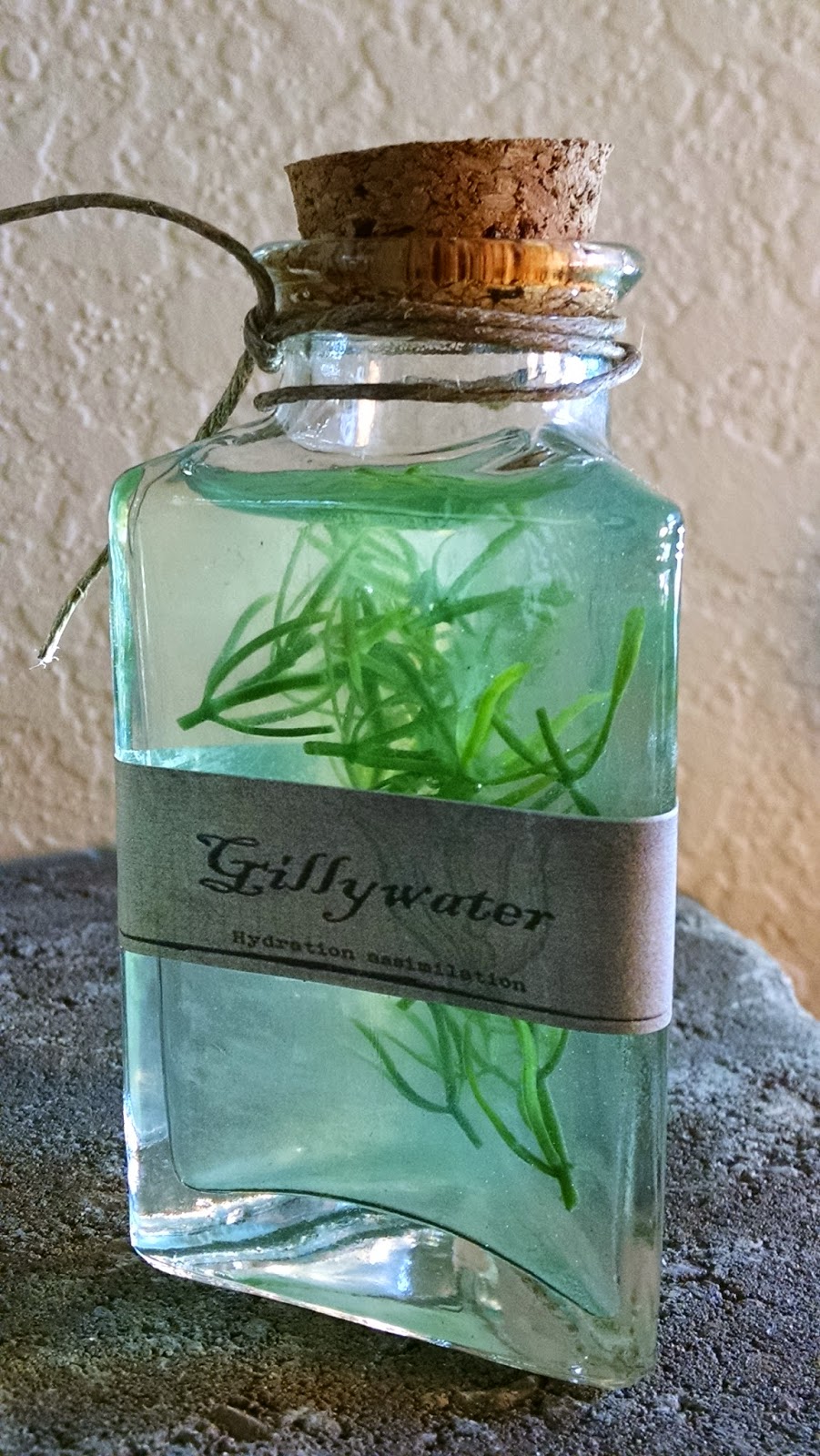 Author A.B.Whelan: DIY Potions and Wands with Instructions