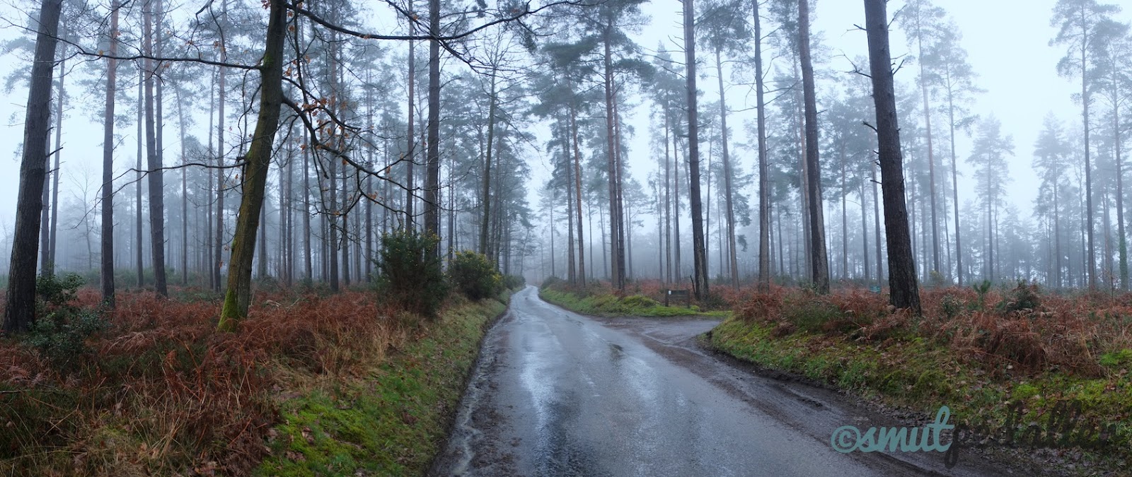 The Smut Pedaller: Surrey Hills and Winterfold Forest