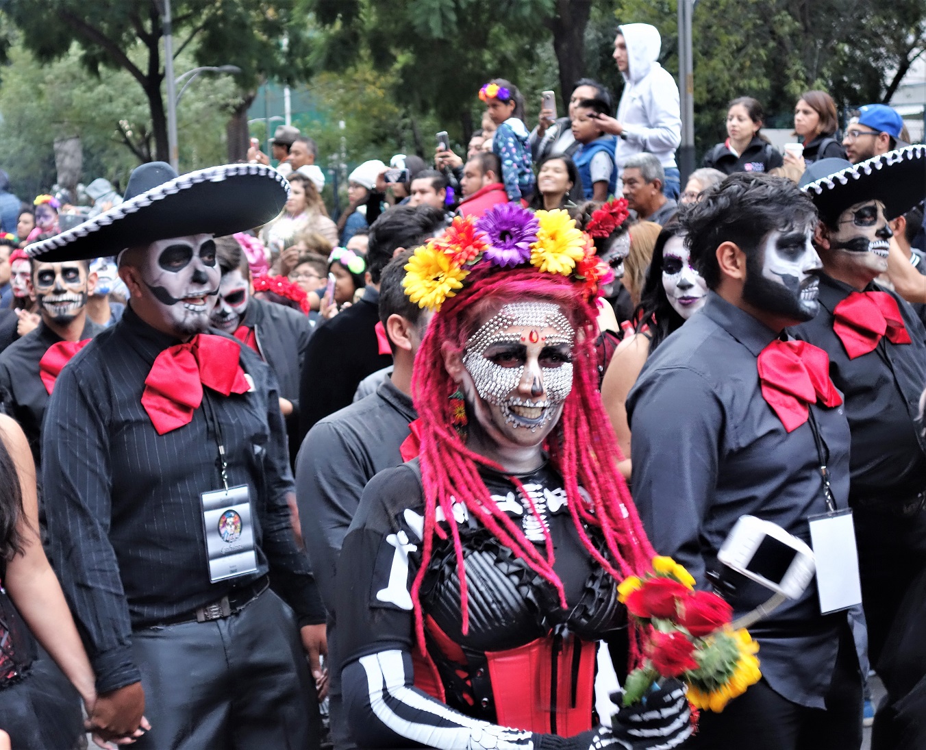 Travels of a Retired Teacher: The March of the Skeletons