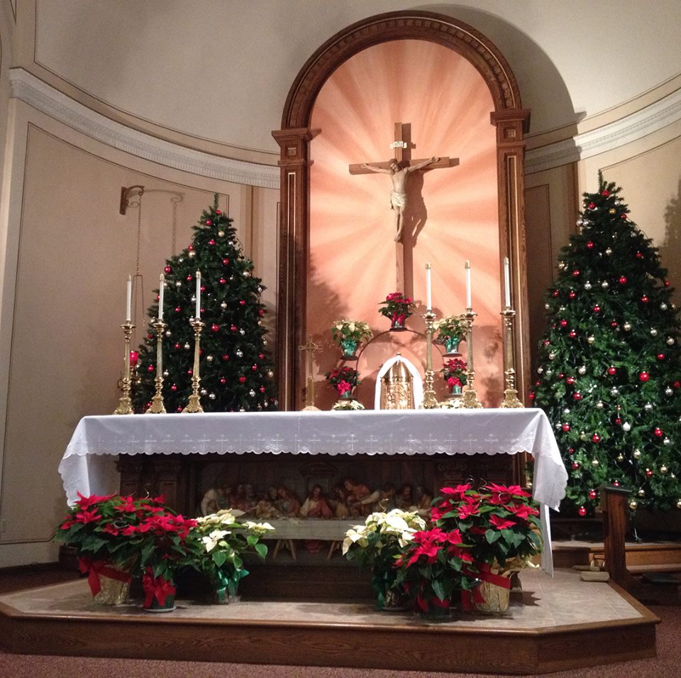 Garlic and Sapphires in the Mud : March 2018