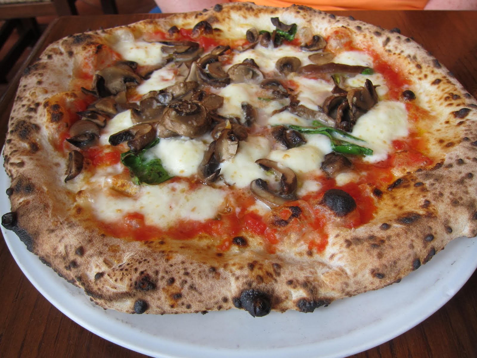 Spacca Napoli, Chicago IL | Endo Edibles