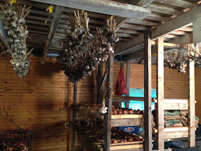 Alternative Roots Farm: Garlic :: Field to Table to Field