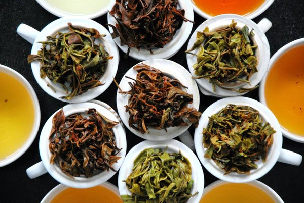 Nepal Tea Benefits ~ Healthy Tea 101
