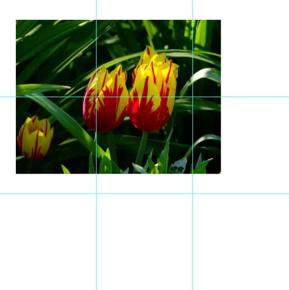 PhotoEffect How To Make A Grid Collage In Photoshop photoeffect-how-to-make-a-grid-collage-in-photoshop