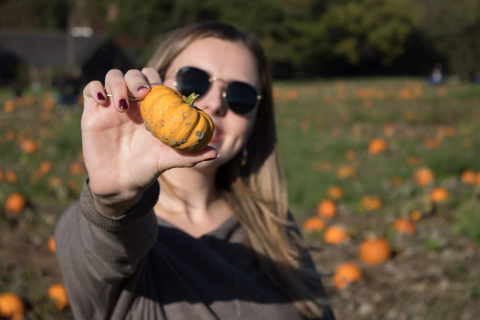Pumpkin Patch Georgia Furness pumpkin-patch-georgia-furness