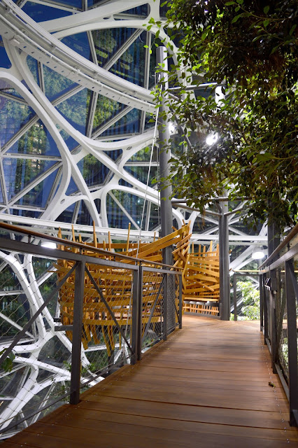 A Tour Of The Amazon Spheres in Downtown Seattle