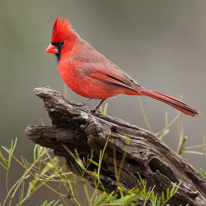 A Modern Grace: March 2013