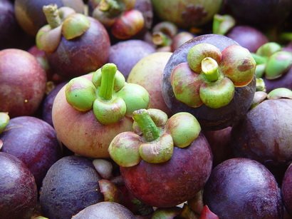 Mangosteen Anti Cancer