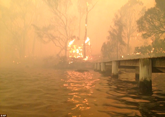 Gambar dan video kejadian kebakaran yang melanda Australia ~ Cg Azmi