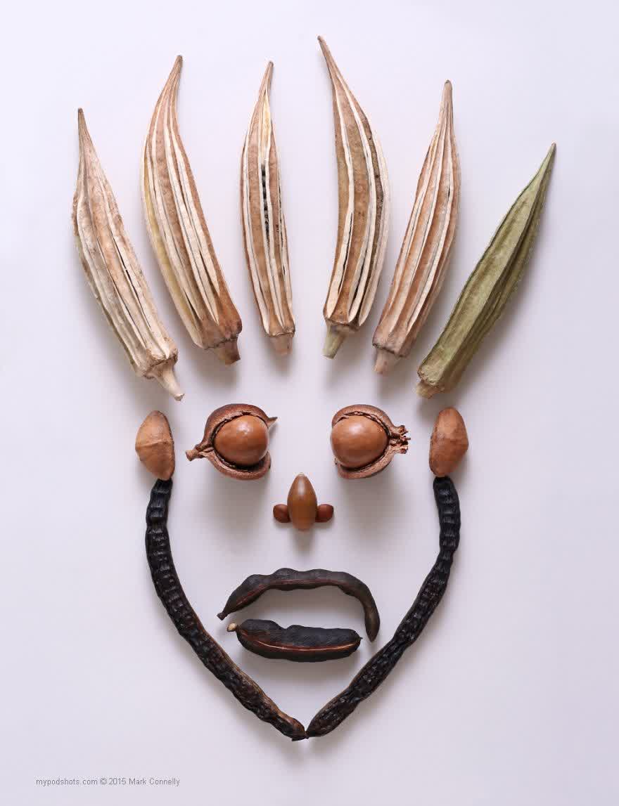 Creative pictures made of seed and seed pods ~ art crafts ideas