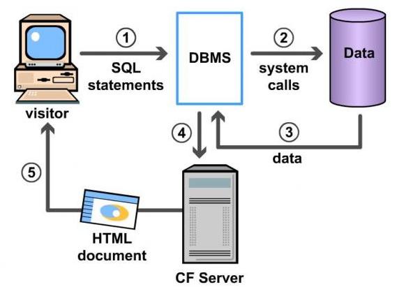 Sistem Informasi Manajemen: Database Management System