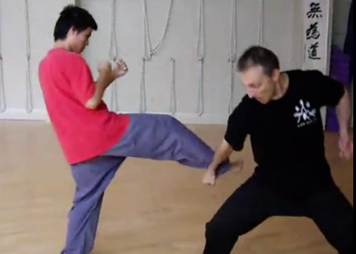 Low "blocks" against kicks - are they ridiculous?