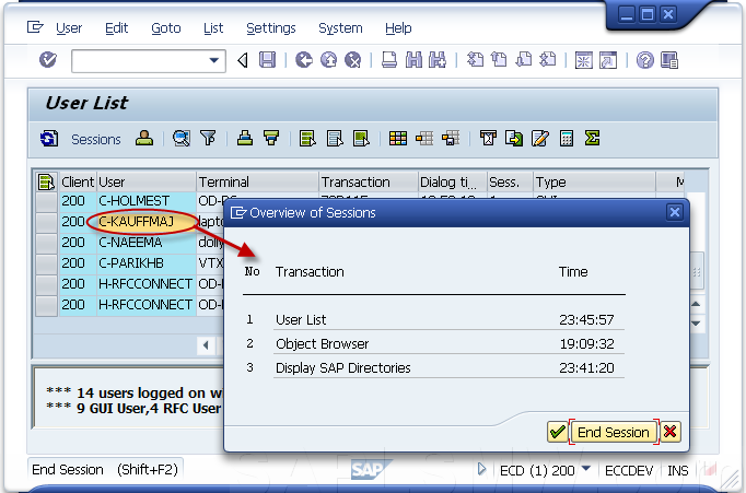 SAP Basis Tutorials: How to Close / Terminate a user session in SAP (SM04)