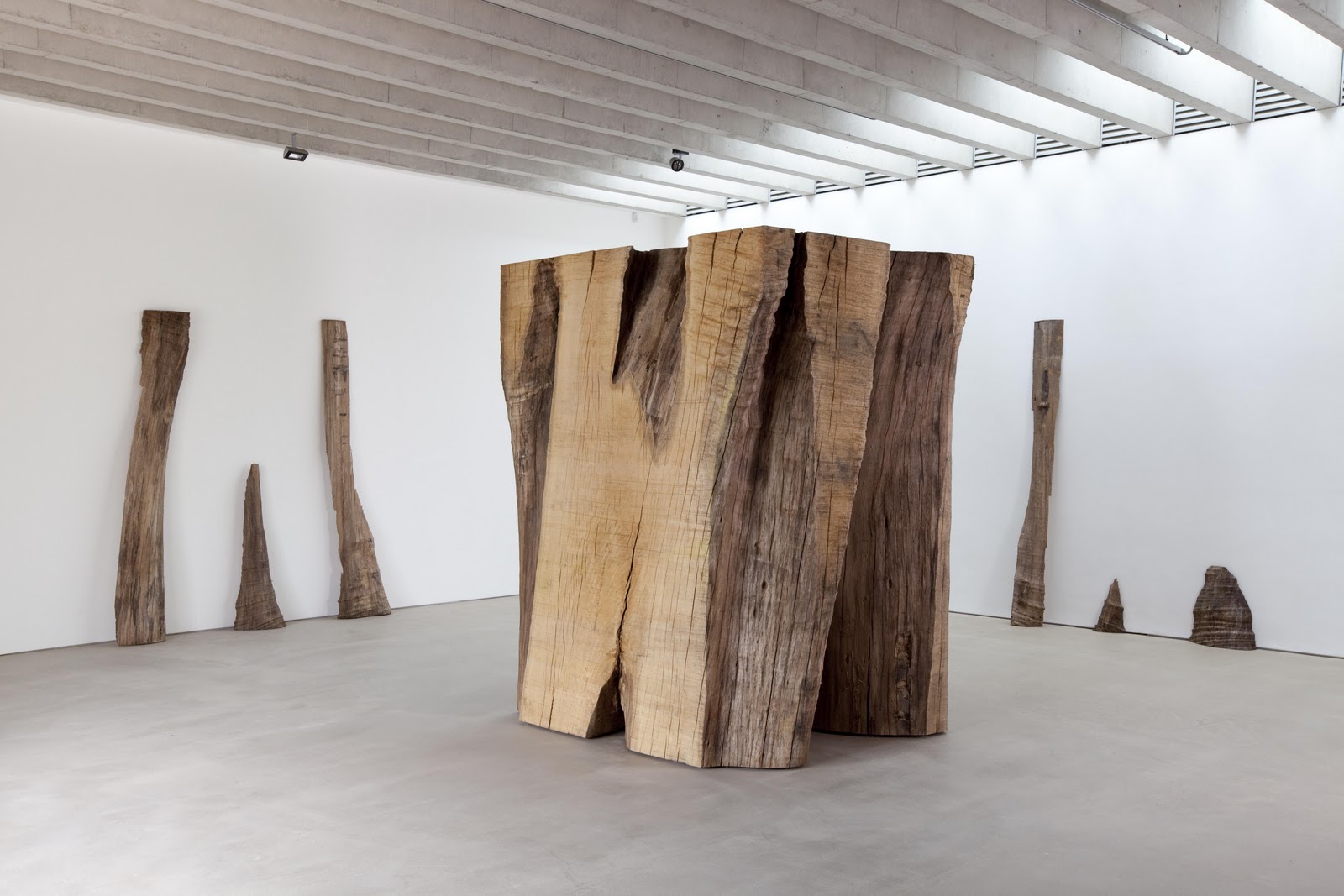 Bird in the House: David Nash - Force of Nature