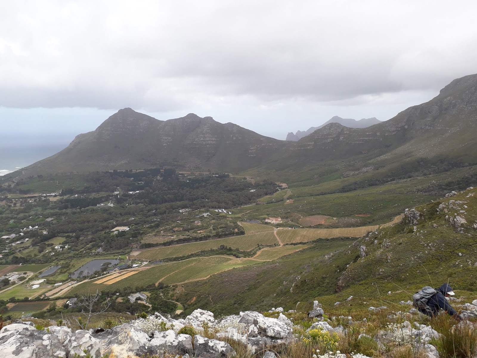 A day in the life: Spitskop, Silvermine Nature Reserve