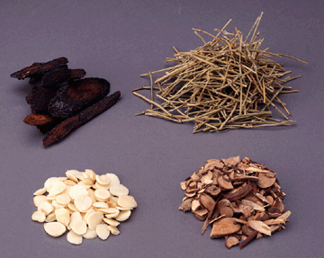 FITOTERAPIA CHINA: MA HUANG TANG