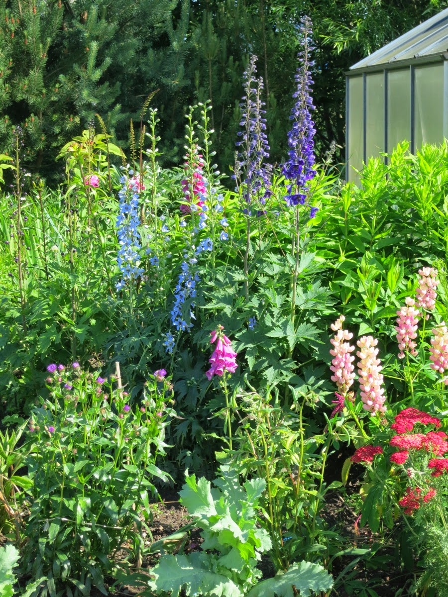 ajakaja: Hüvasti, kevad!