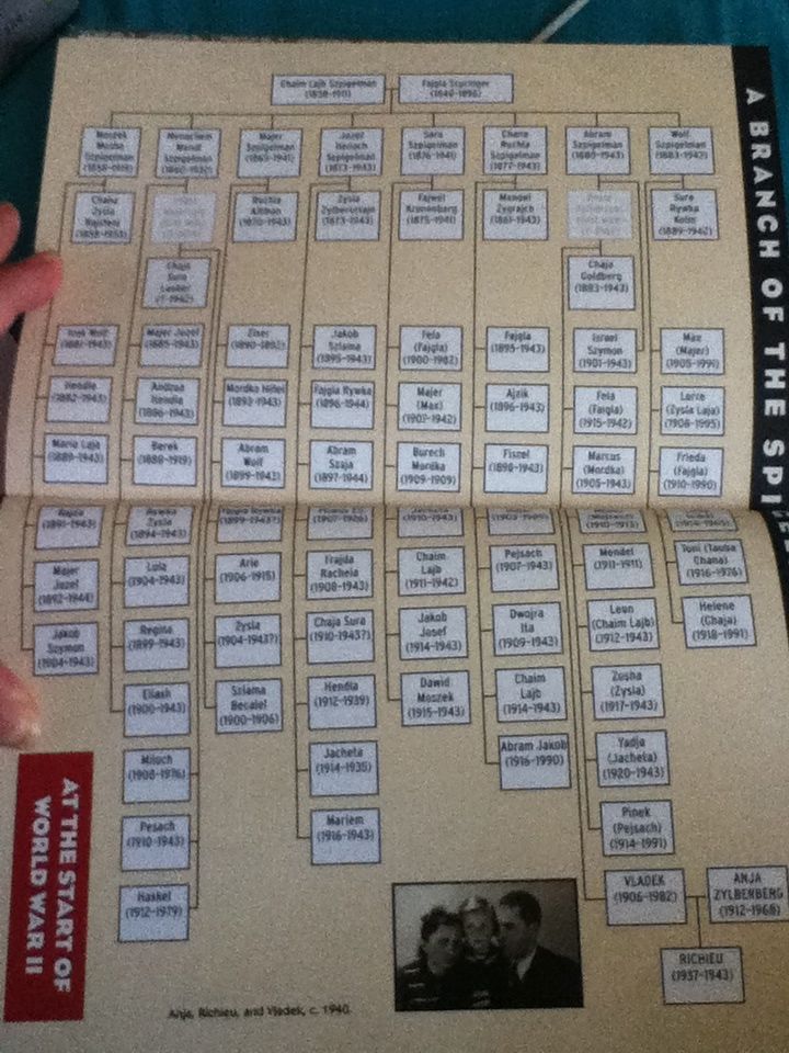 Devouring Texts: Devouring Books: MetaMaus by Art Spiegelman