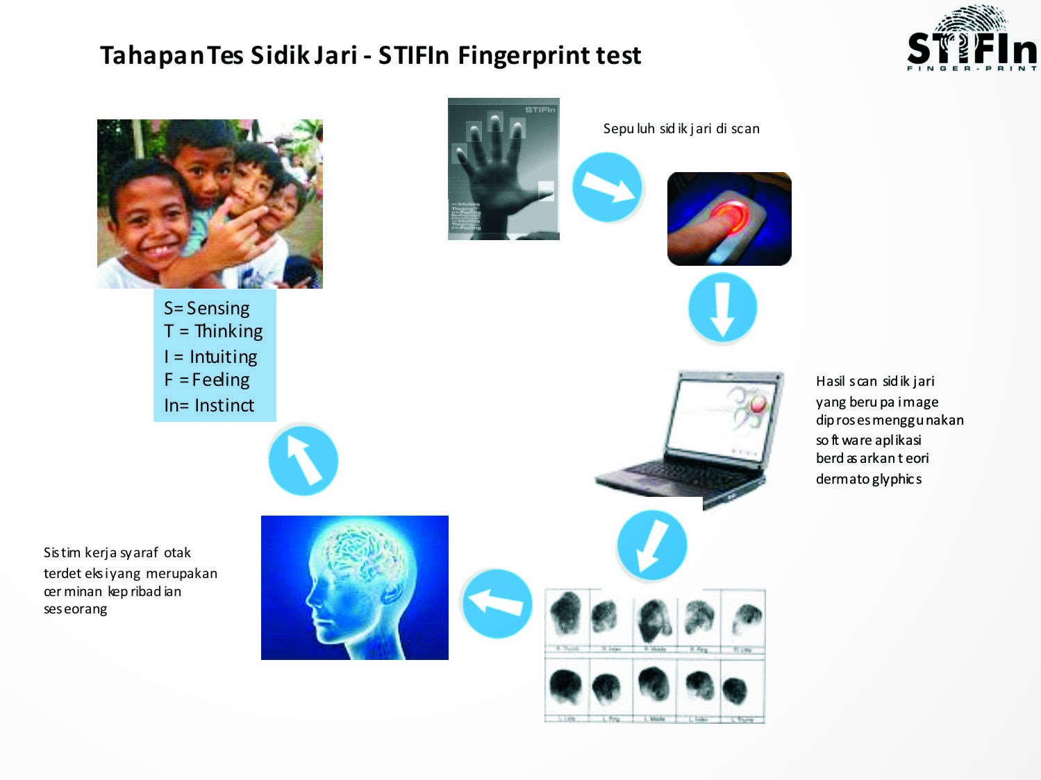 Cara Tes STIFn | STIFIn Tes Bakat dan Minat