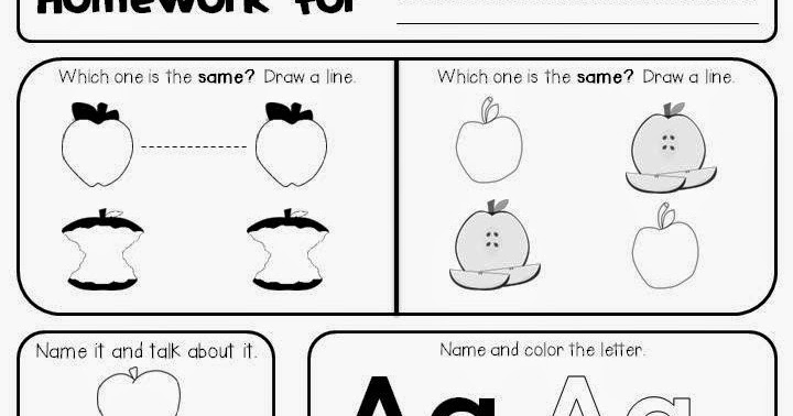 The Best of Teacher Entrepreneurs: Misc. Lesson - 'Homework For Beginners'