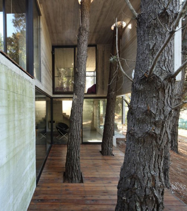 Studio Krishka: Interior inspiration: When trees enter the interior!