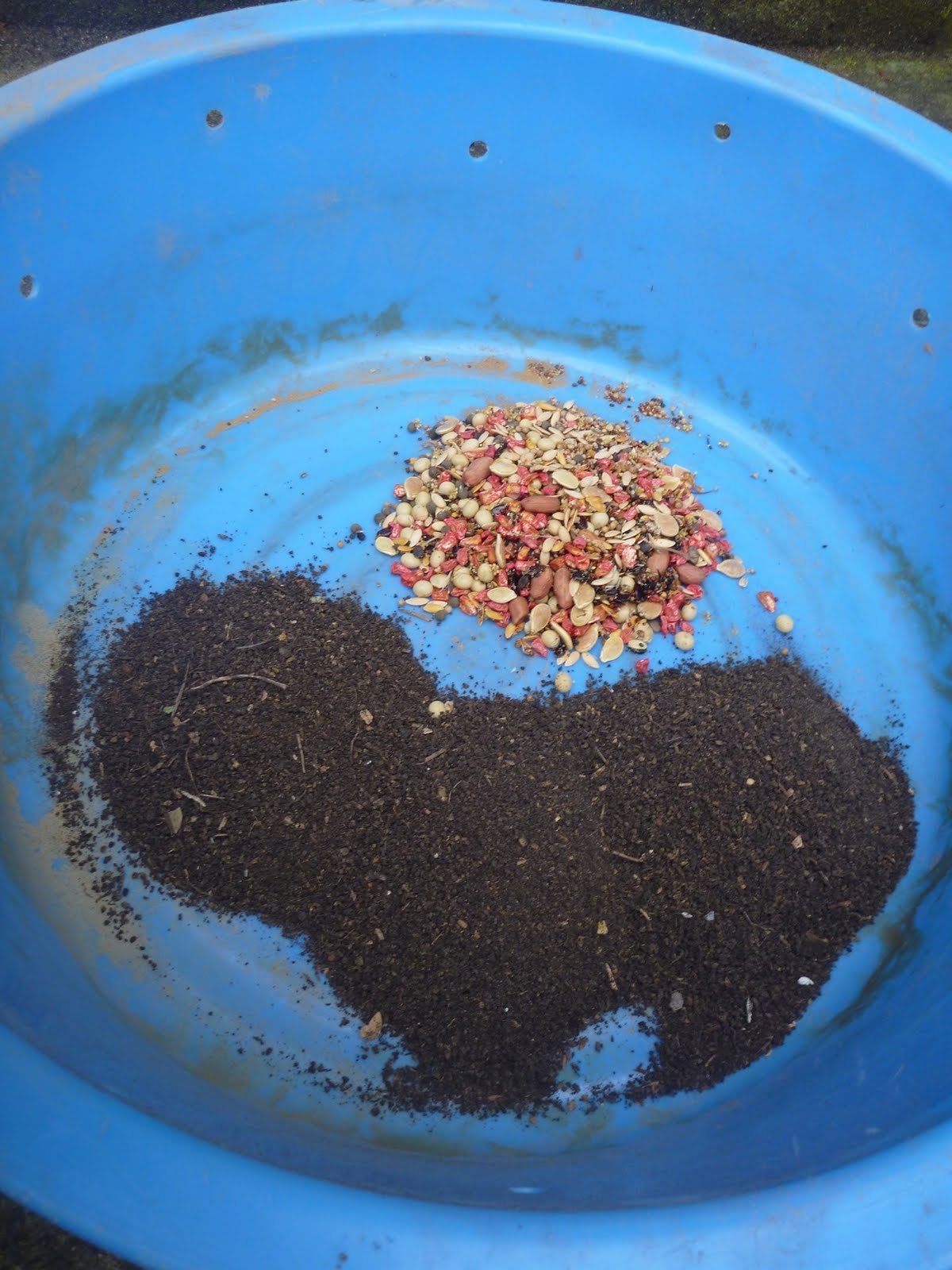 Dream Seed Farms: Adventures in Seed Balling