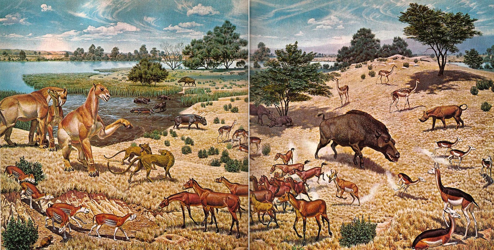 What happens when a non-accredited paleontology fan blogs: Species That ...