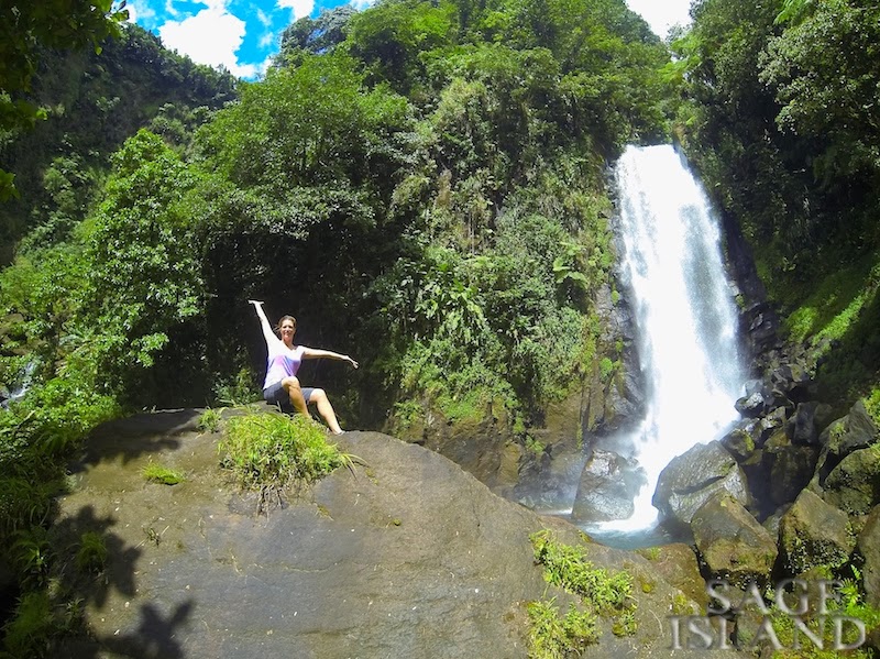 Sage Island: Dominica: Trafalgar Falls
