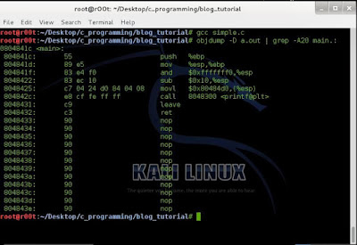 Basic Assembly Programming Survival Skills for Hackers! | Programming : Ethical Hacker Way