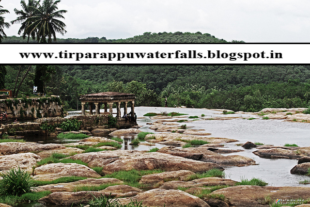 Tirparappu Water Falls: Falls Image