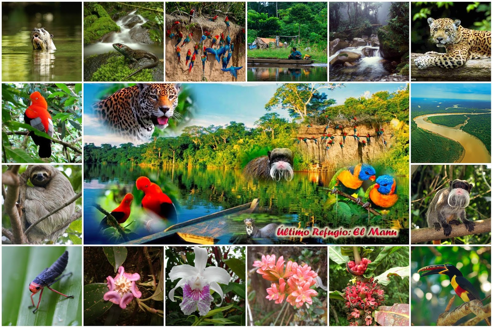 AREAS NATURALES PROTEGIDAS