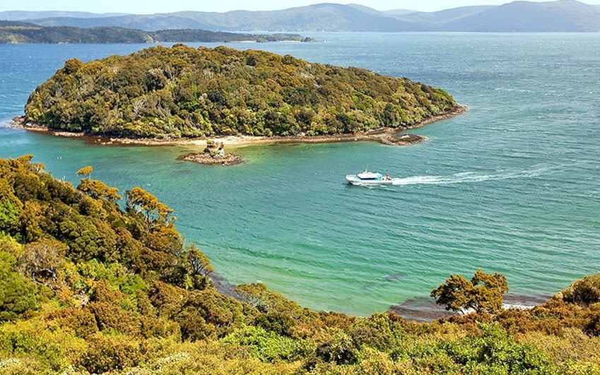 New Zealand Tourism Guide: Stewart Island - New Zealand