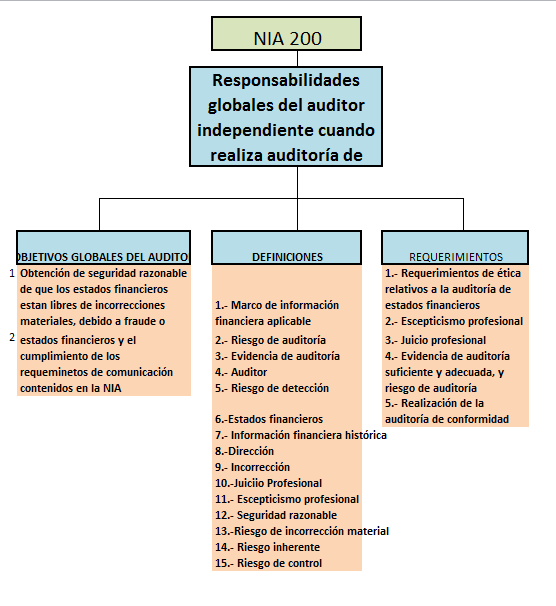 AUDITORIA: MAPA CONCEPTUAL DE LA NIA 200