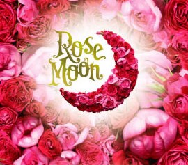Banging the Drum: Rose Moon ~ Strawberry Moon