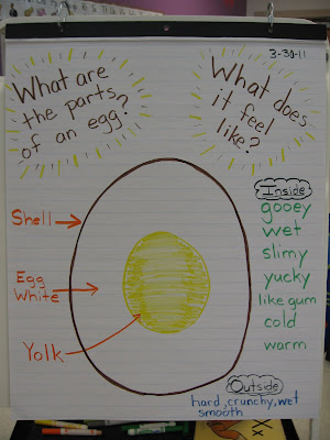 Learn + Play = Pre K: What's inside an egg?