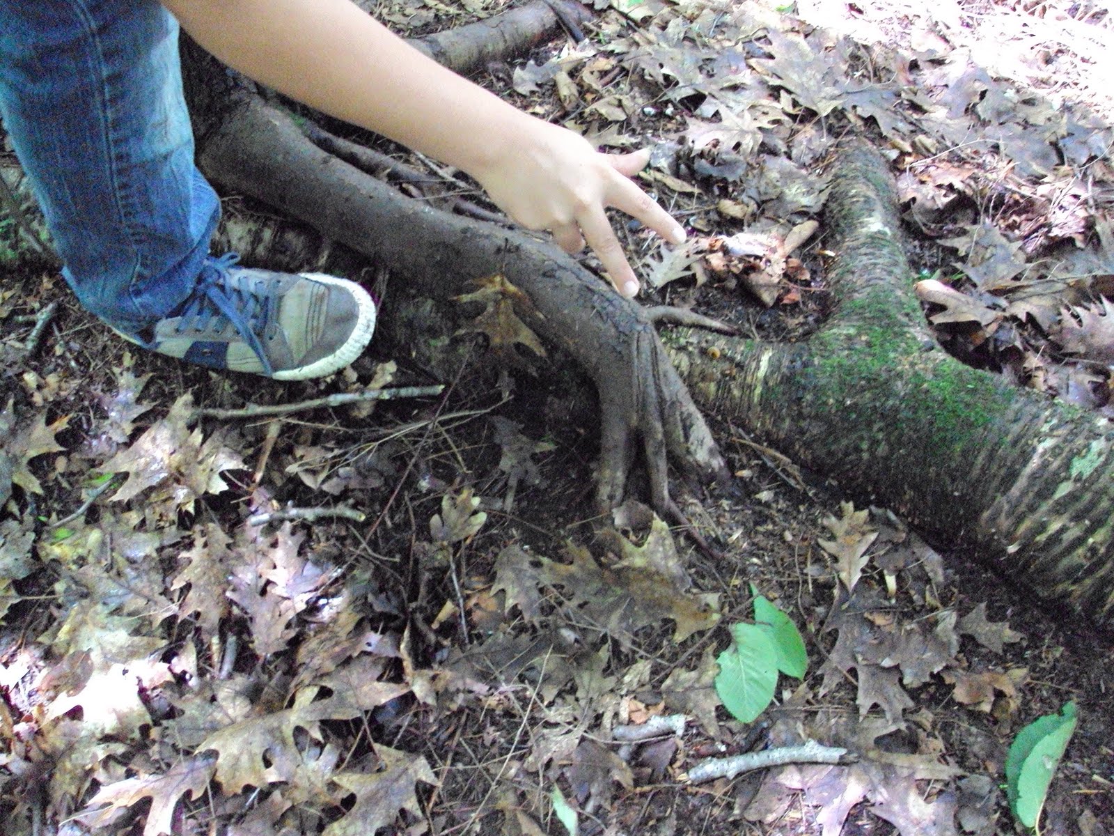 Clickable Party: Letterboxing {Geeky Fun}