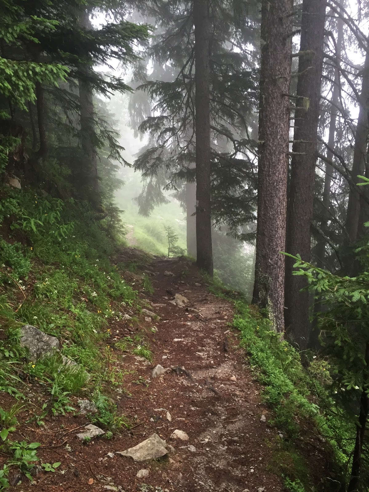 Hiking in Chamonix - France
