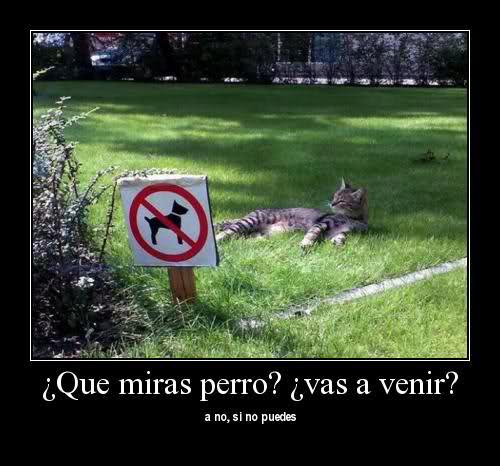 Desmotivaciones Graciosas: Graciosas Desmotivaciones