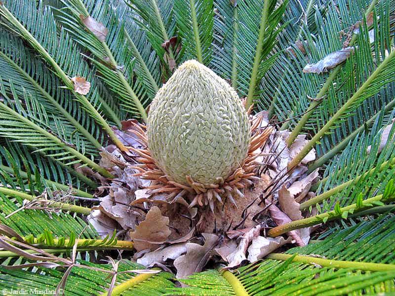 Sangrando en verde: julio 2014