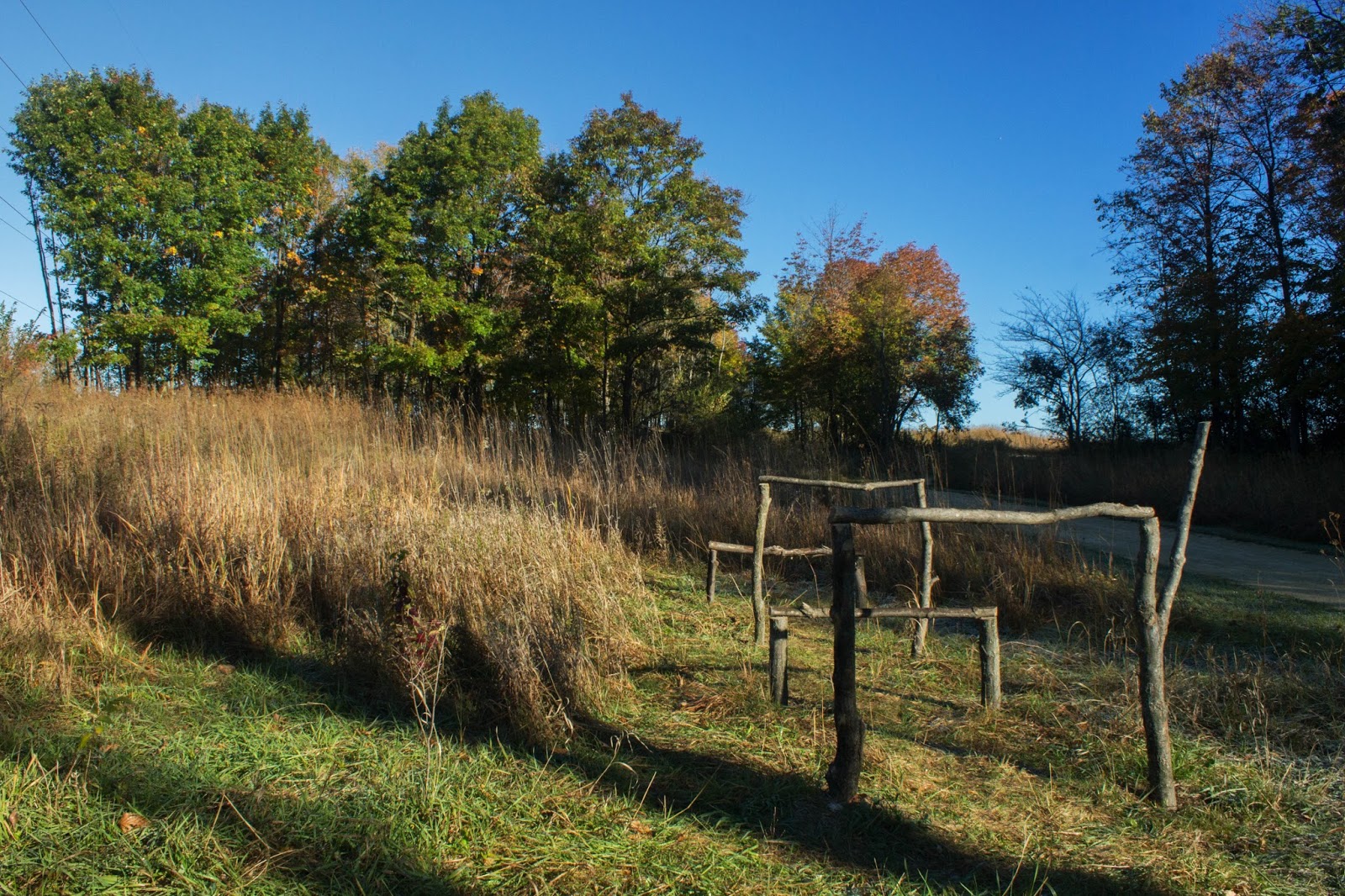 Midwestern City Girl: Finally Fall: My Visit to the Mequon Nature Preserve
