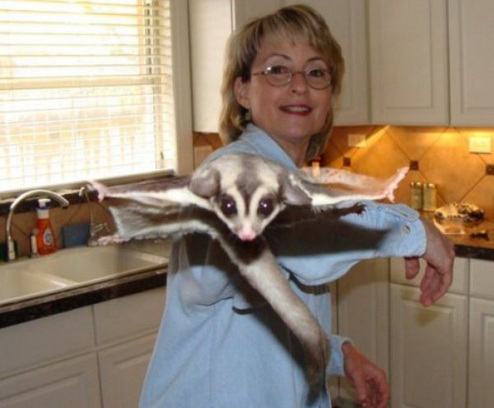 Chuck's Fun Page 2: One minute before - part 5