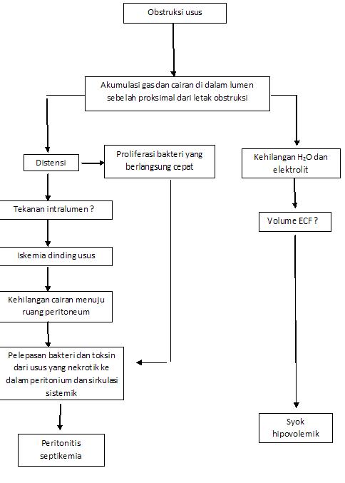 Pathway Ileus Obstruktif 15.pdf